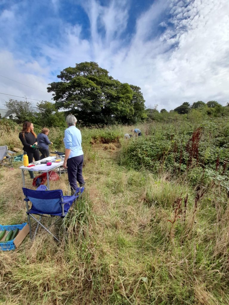 New Community Orchards – Resilient Orchards Cornwall