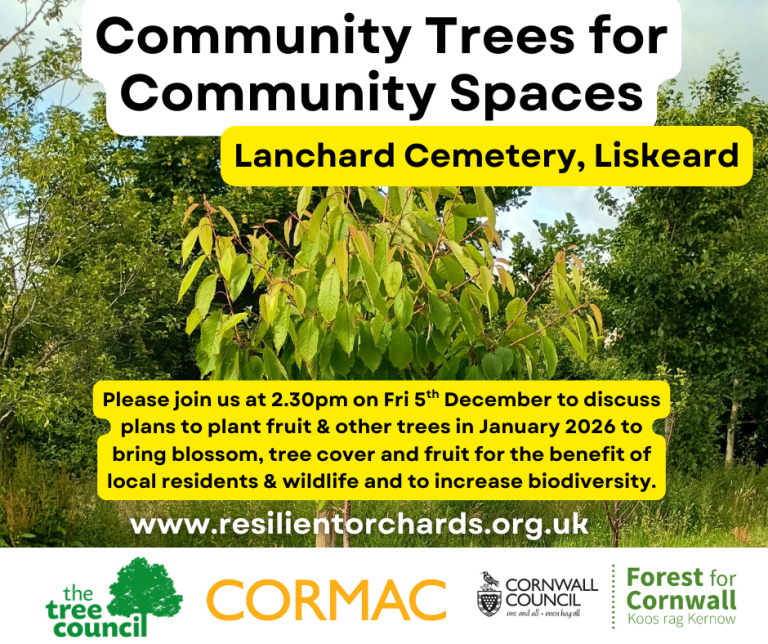Community fruit tree planting this Winter – Resilient Orchards Cornwall